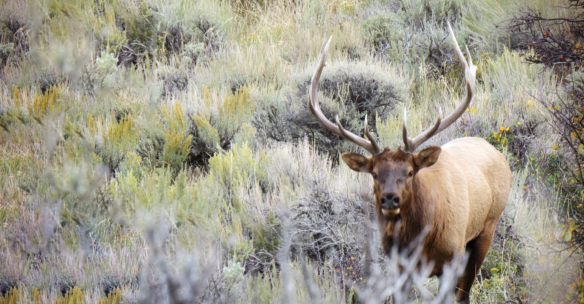 Home | Tri-State Generation and Transmission Association, Inc